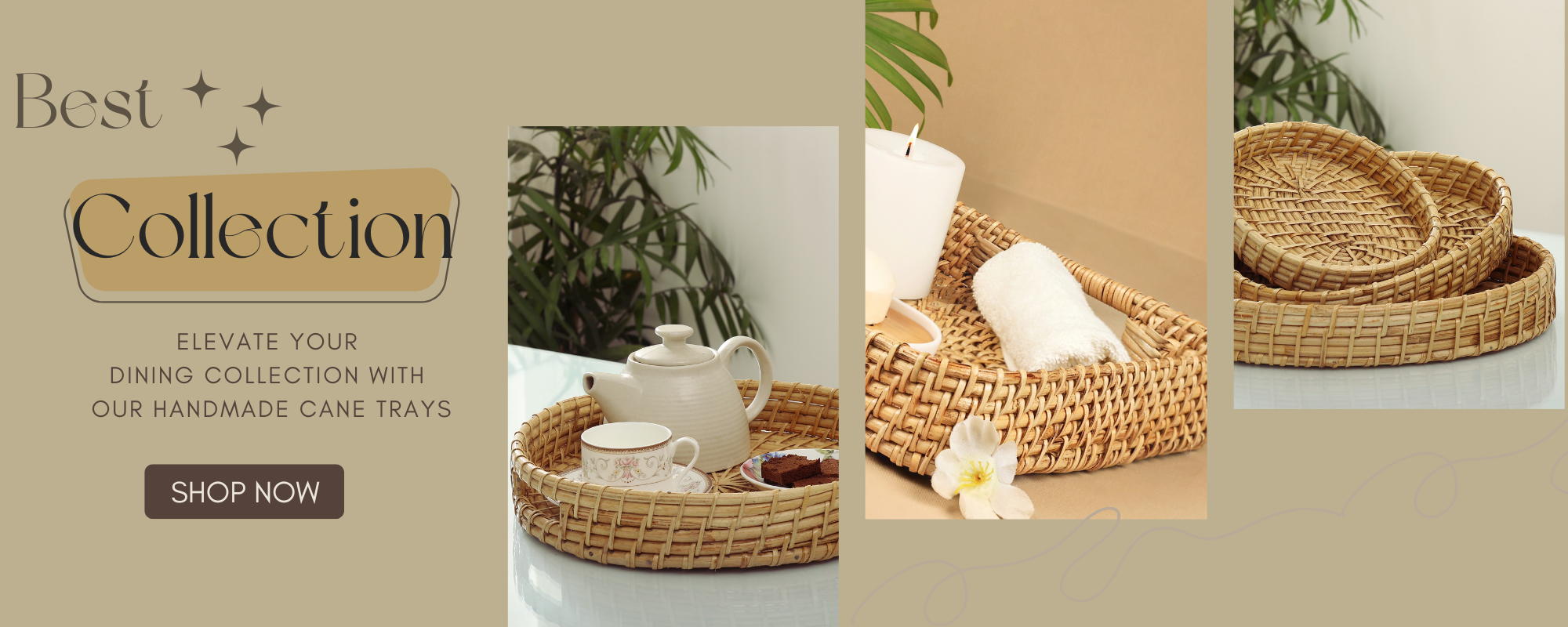 Eco Flore – Ecoflore